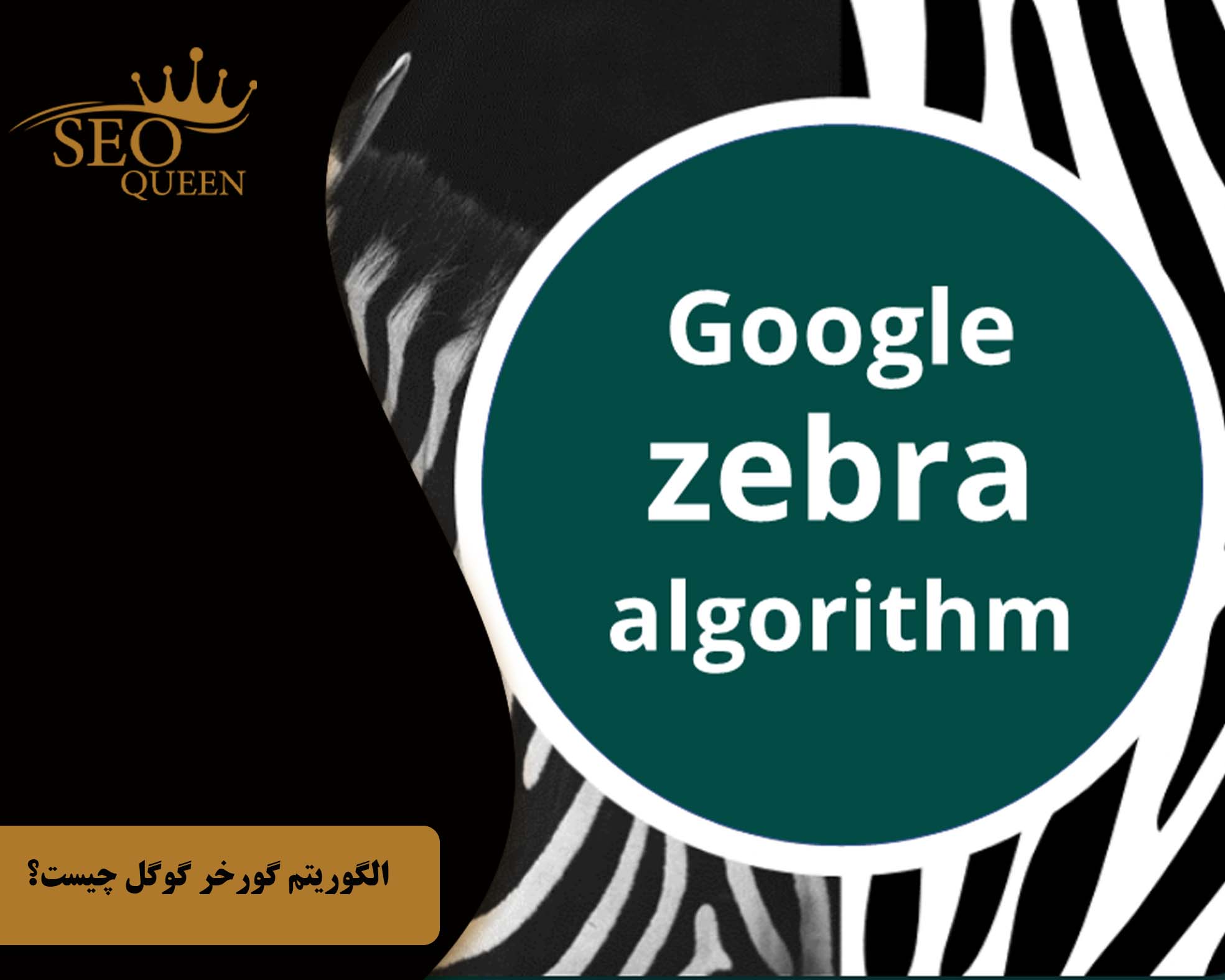 الگوریتم گورخر گوگل چیست؟ - ملكه سئو